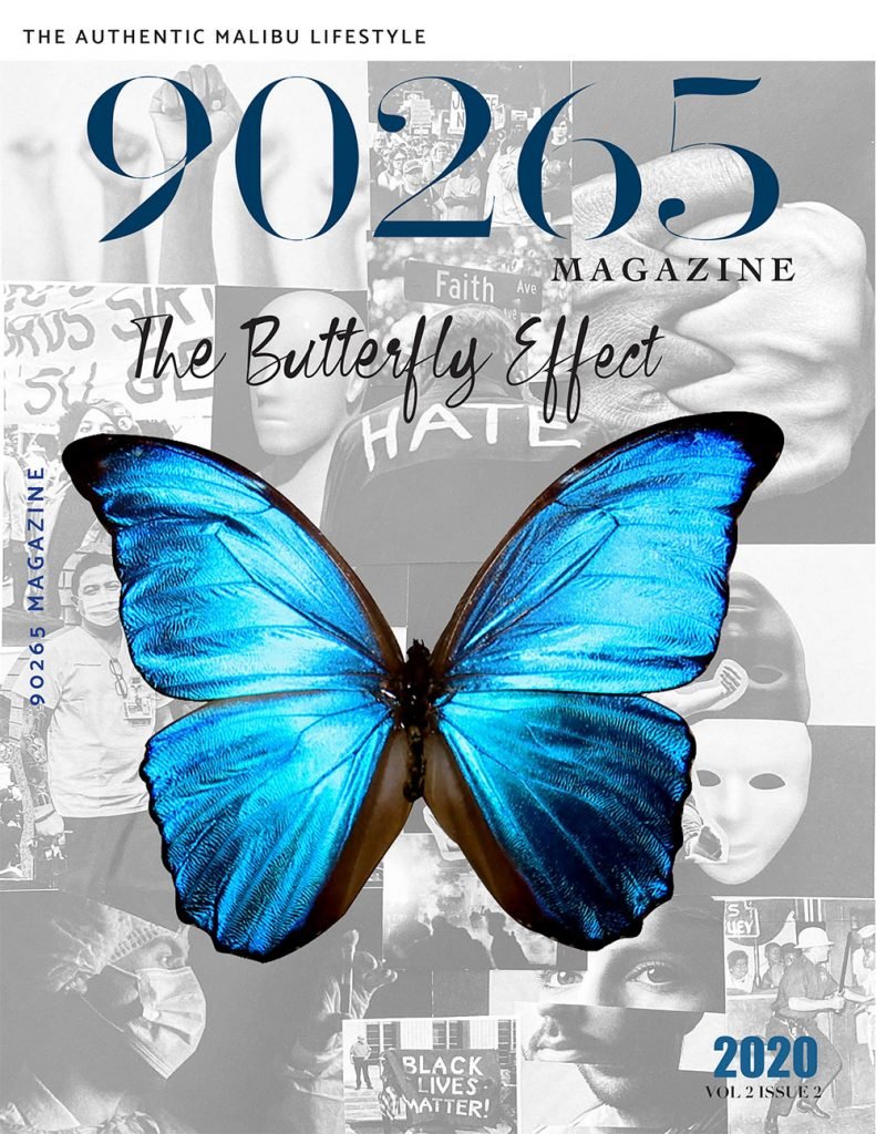 The Butterfly Effect Issue: The Story Behind the Cover